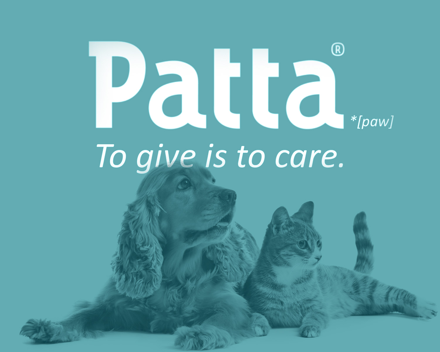Patta - Daymon Design